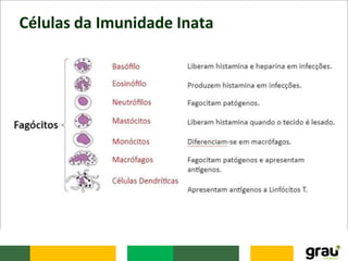 AULA 02 e 03 - IMUNIDADE INATA CÉLULAS, RECEPTORES E CITOCINAS.pptx