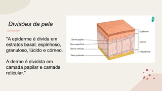 Aula 02 Sistema Tegumentar (1).pp ANATOMIAtx | PPTX