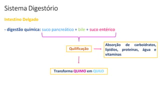 AULA 03- ANATOMIA E FISIOLOGIA......pptx