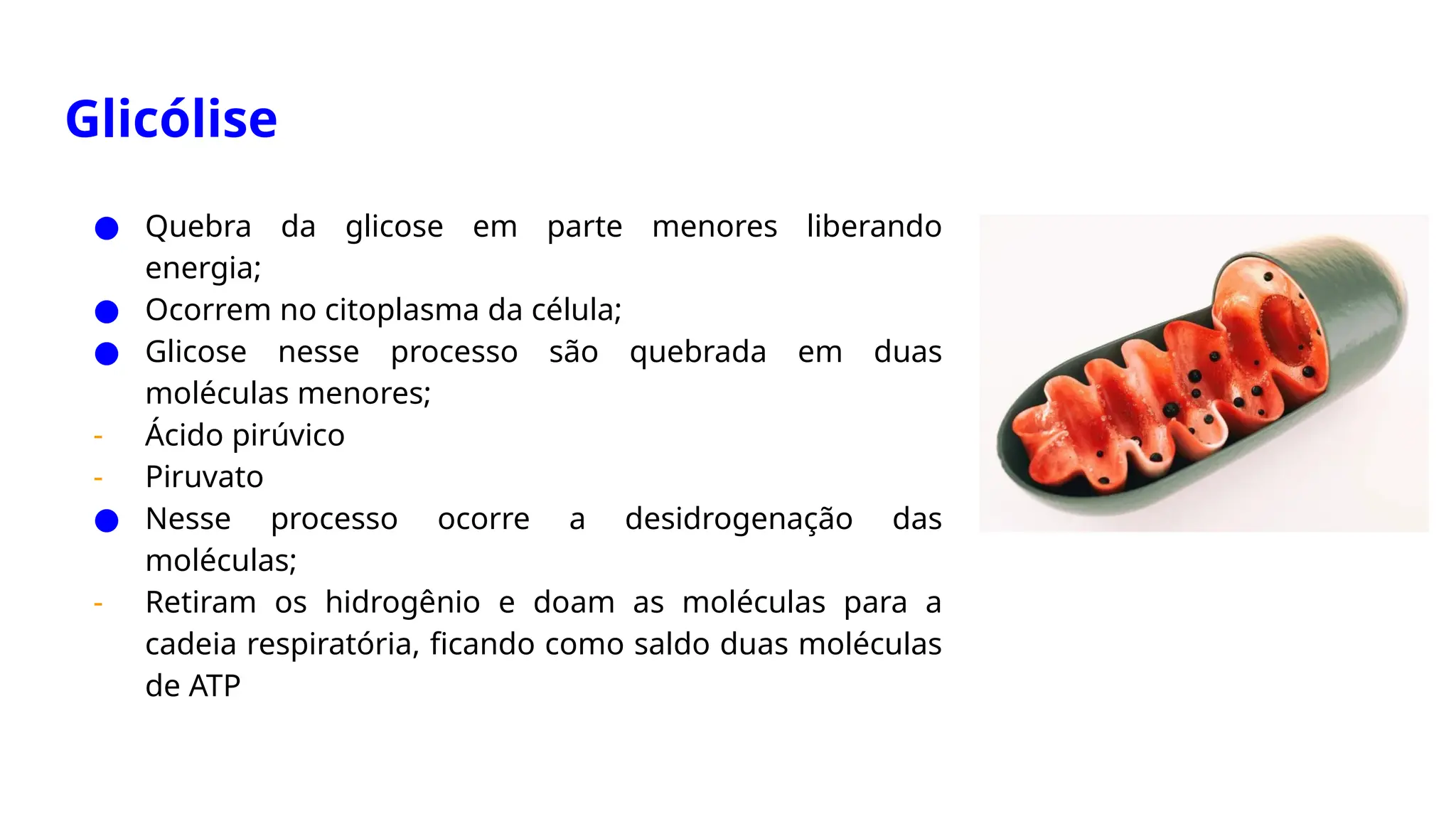 Aula 03 - Metabolismo humano bioquimica humana | PPT