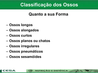 Aula 04 anatomia e fisiologia do sistema ósseo e articular.. | PDF