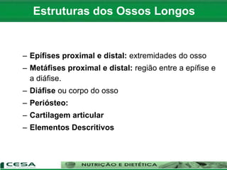 Aula 04 anatomia e fisiologia do sistema ósseo e articular.. | PDF