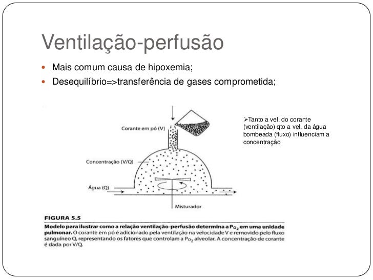 Aula 04 de fisiologia ventilação-perfusão
