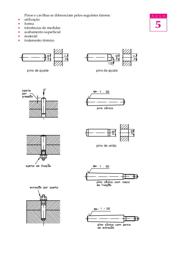 Aula 05 pinos e cupilhas