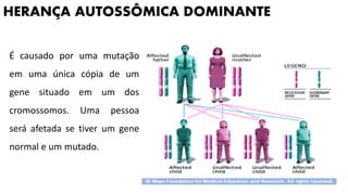 Aula 05 Padrão de herança e polimorfismos.pdf