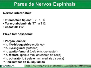 Aula 06 Sistema nervoso e sensorial - anatomia | PPTX