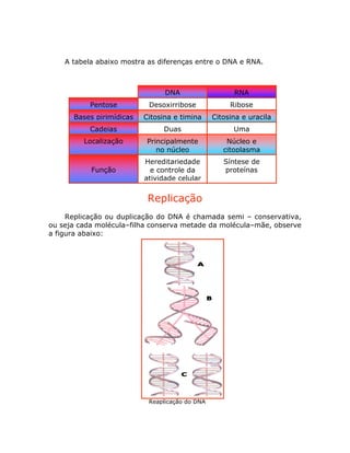 Aula 07 ácidos nucléicos | PDF