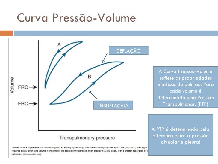 Aula 07 fisiologia - mecanismos da respiração