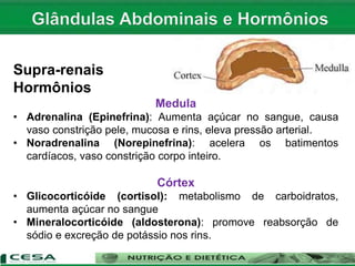 Aula 07 sistema endócrino - anatomia e fisiologia | PDF