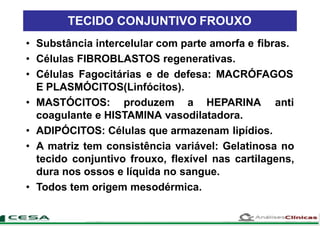 Aula 08 histologia | PDF