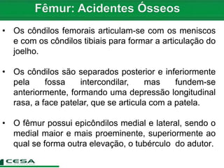 Aula 08 radiologia - anatomia do esqueleto apendicular - fêmur | PDF