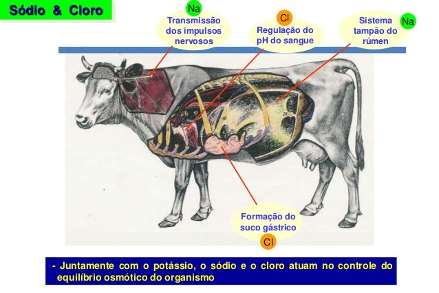 Nutrientes minerais para ruminantes