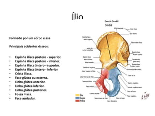 Aula1 | PDF