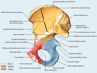 Aula1 | PPT | Download Gratuito