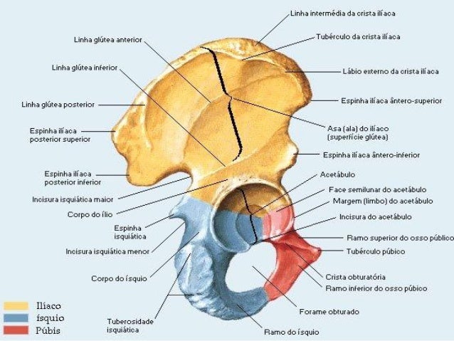 Aula1