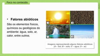 os seres vivos e os elementos não vivos - 6 ano | PPTX