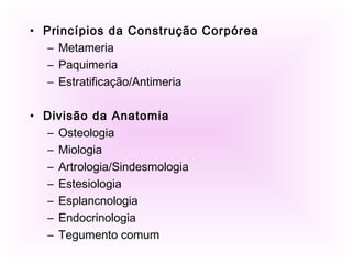 Aula1 anatomia (2) | PPT | Bone and Joint Conditions | Diseases and ...