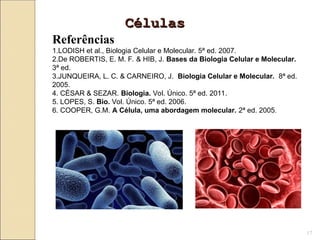 Aula 1 - Células e principais constituintes.ppt