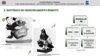 Aula 1 - Conceitos Básicos do Sensoriamento Remoto.pdf