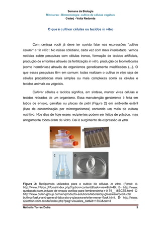 Biotecnologia: cultivo de células vegetais | PDF