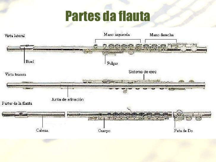 Aula 1 - Flauta transversal - Nível 1 - Projeto Aprendiz VV - 2012