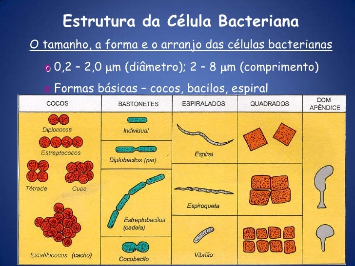 Aula 1 - M