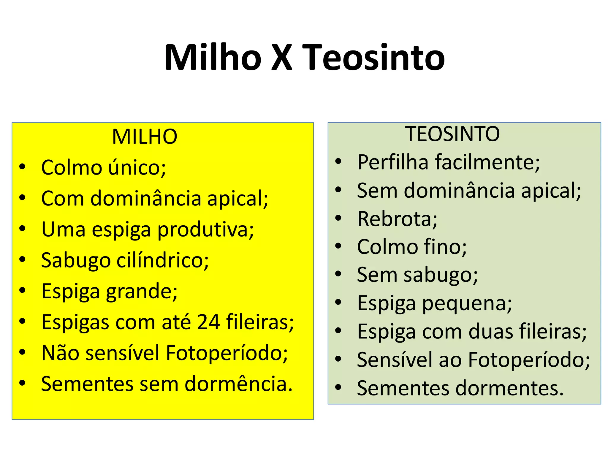 Aula 1 - Milho - Origem e importância.pdf