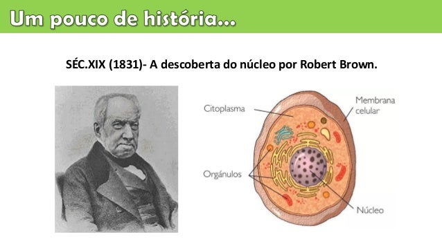Aula 1 origem e evolução das células