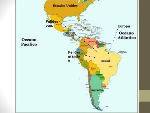 Origem E Importância Econômica E Classificação Botânica Do Feijão