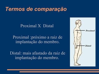 aula_1_-_posicao_anatomica_para_aluno.pdf