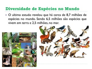 Quantos Seres Vivos Existem No Mundo — MOJEDU