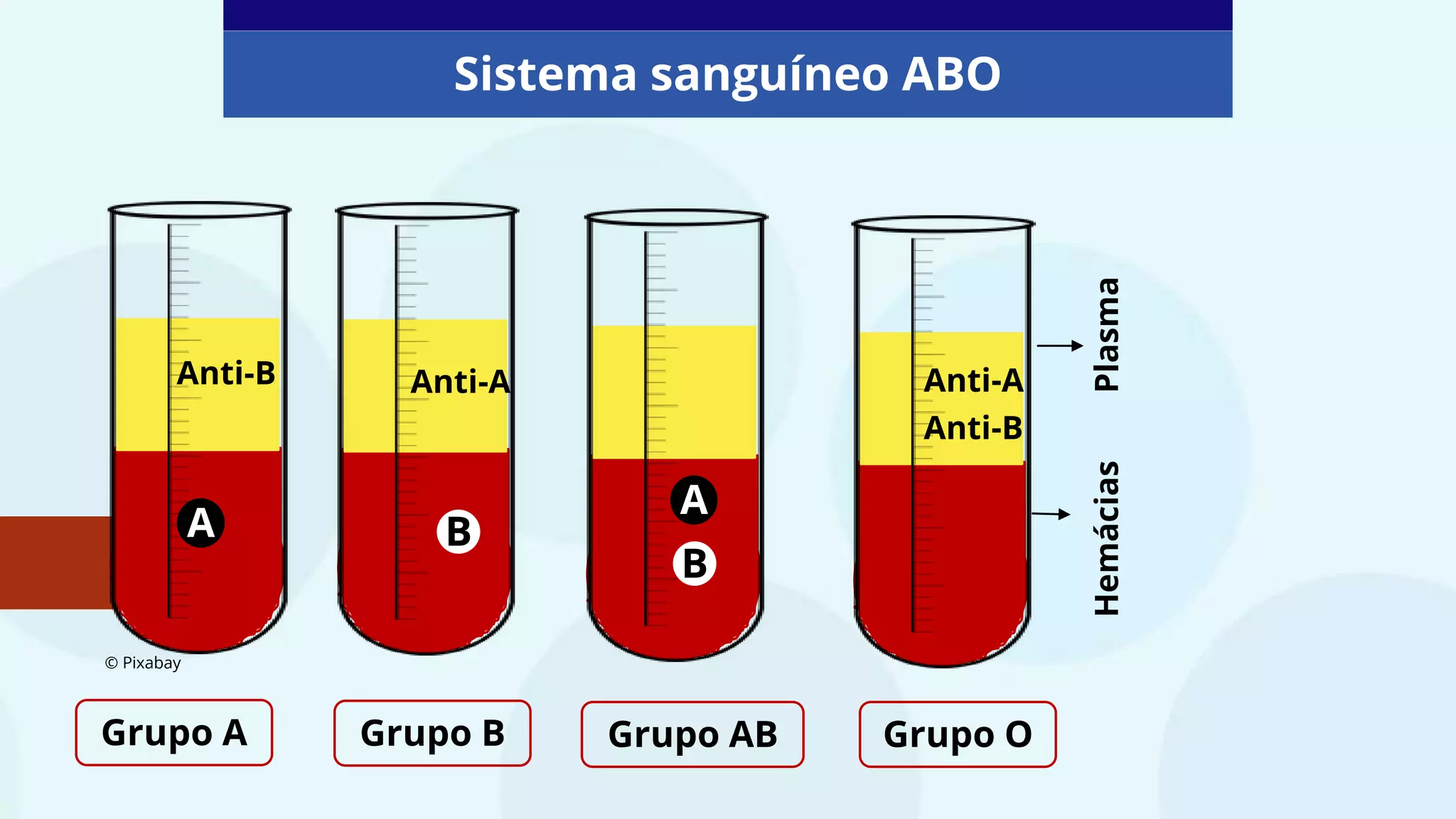 AULA 1 - SISTEMA SANGUINEO E FATOR RH.pptx