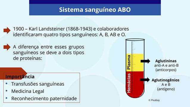 AULA 1 - SISTEMA SANGUINEO E FATOR RH.pptx