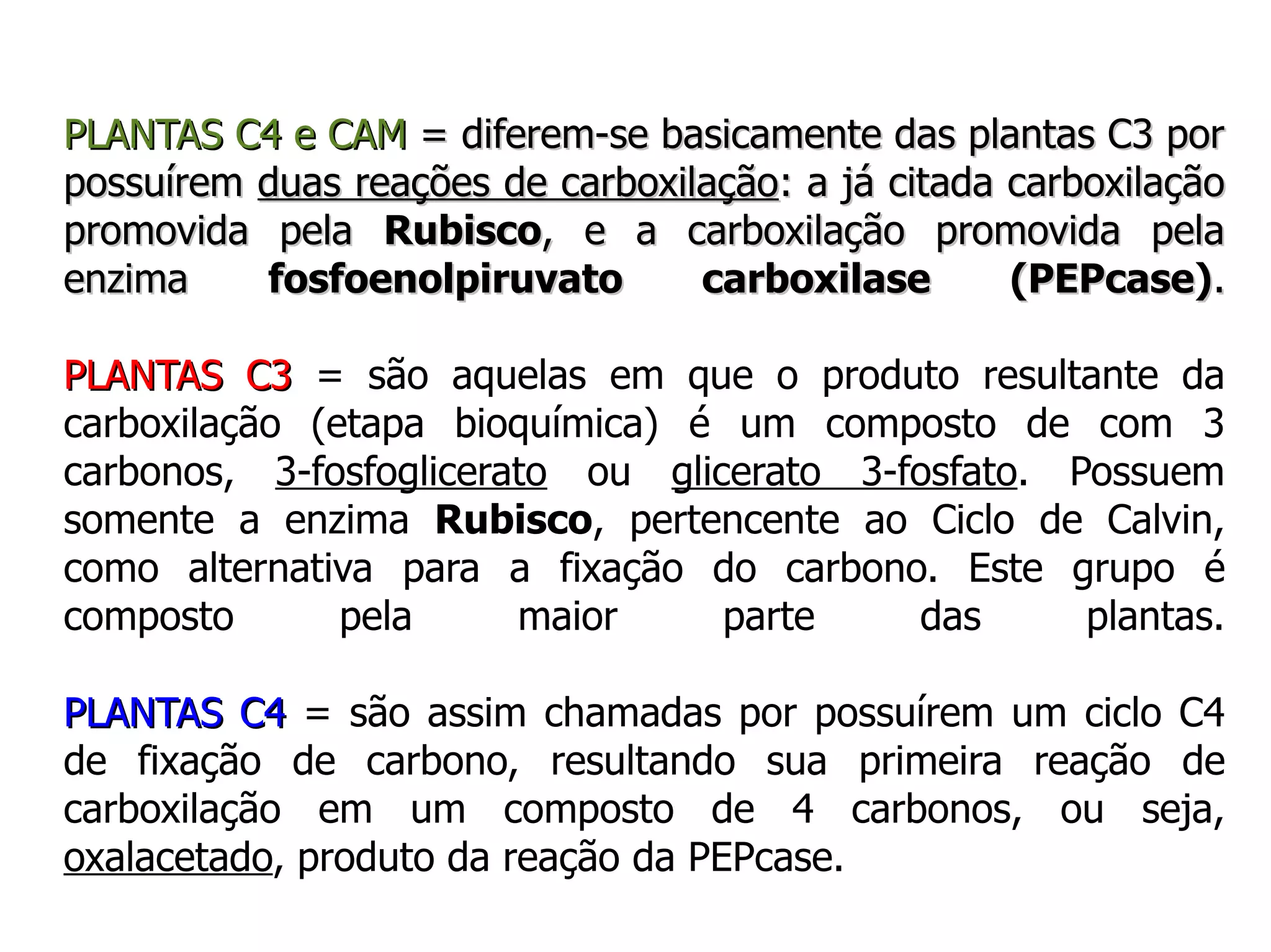 Aula 10 plantas c3 c4 cam pdf | PDF