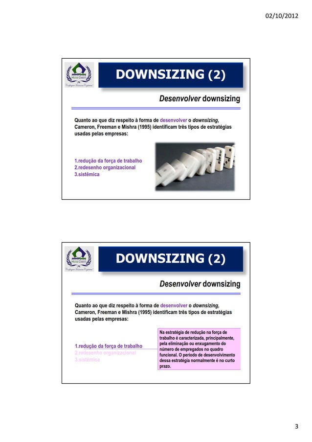 Aula 11 downsizing (2) | PDF