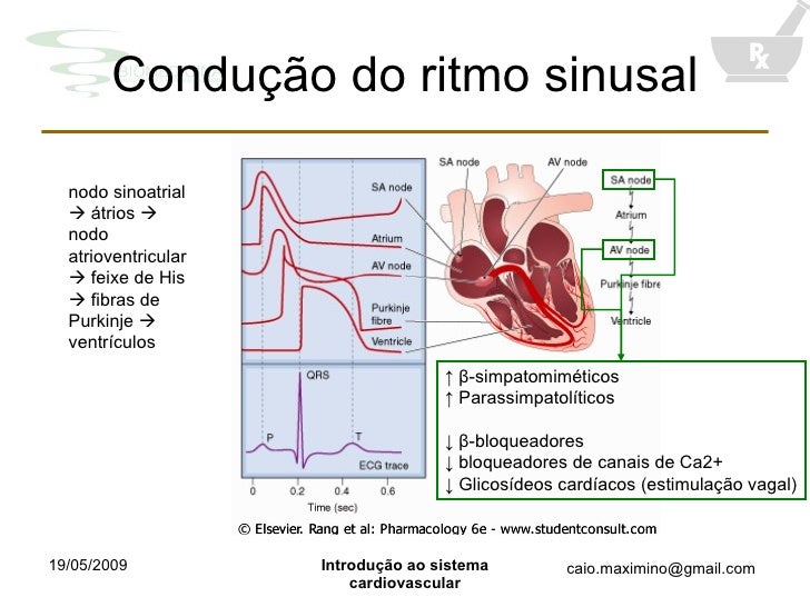 Aula 11 Biomedicina