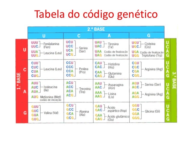 Aula 11 - Ácidos nucleicos - DNA e RNA