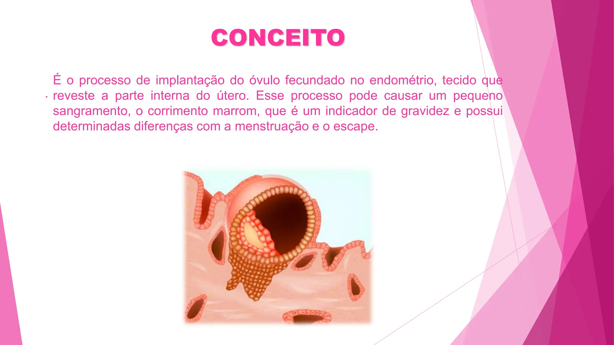 AULA 11 FECUNDAÇÃO, NIDAÇÃO...........pptx