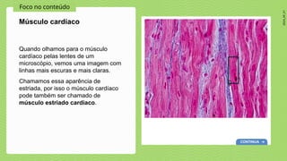 Aula 12 - Sistema Muscular - Músculo cardíaco | PPTX