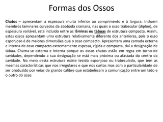Anatomia Funcional (aula 1) | PDF