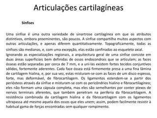 Anatomia Funcional (aula 1) | PDF
