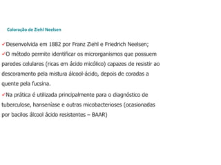 Aula 1, 2 Bacterias Características e Morfologia.pptx