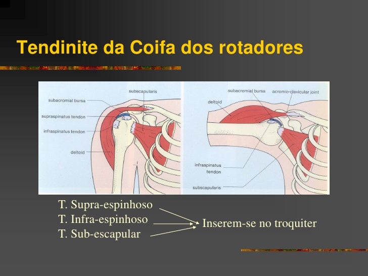 Aula 12 E 13 Drpa