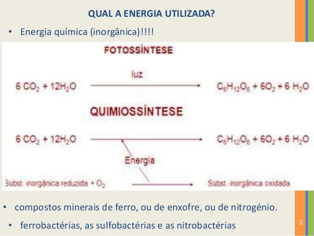 Aula12 fermentação e quimiossíntese