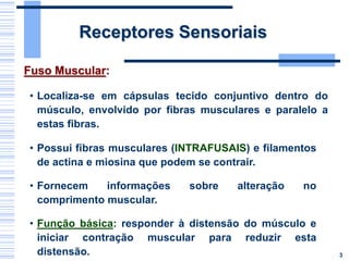 Aula#12_Sistema_Nervoso_II.pdf