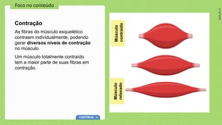 Aula 13 - Sistema muscular - Músculo estriado | PPTX