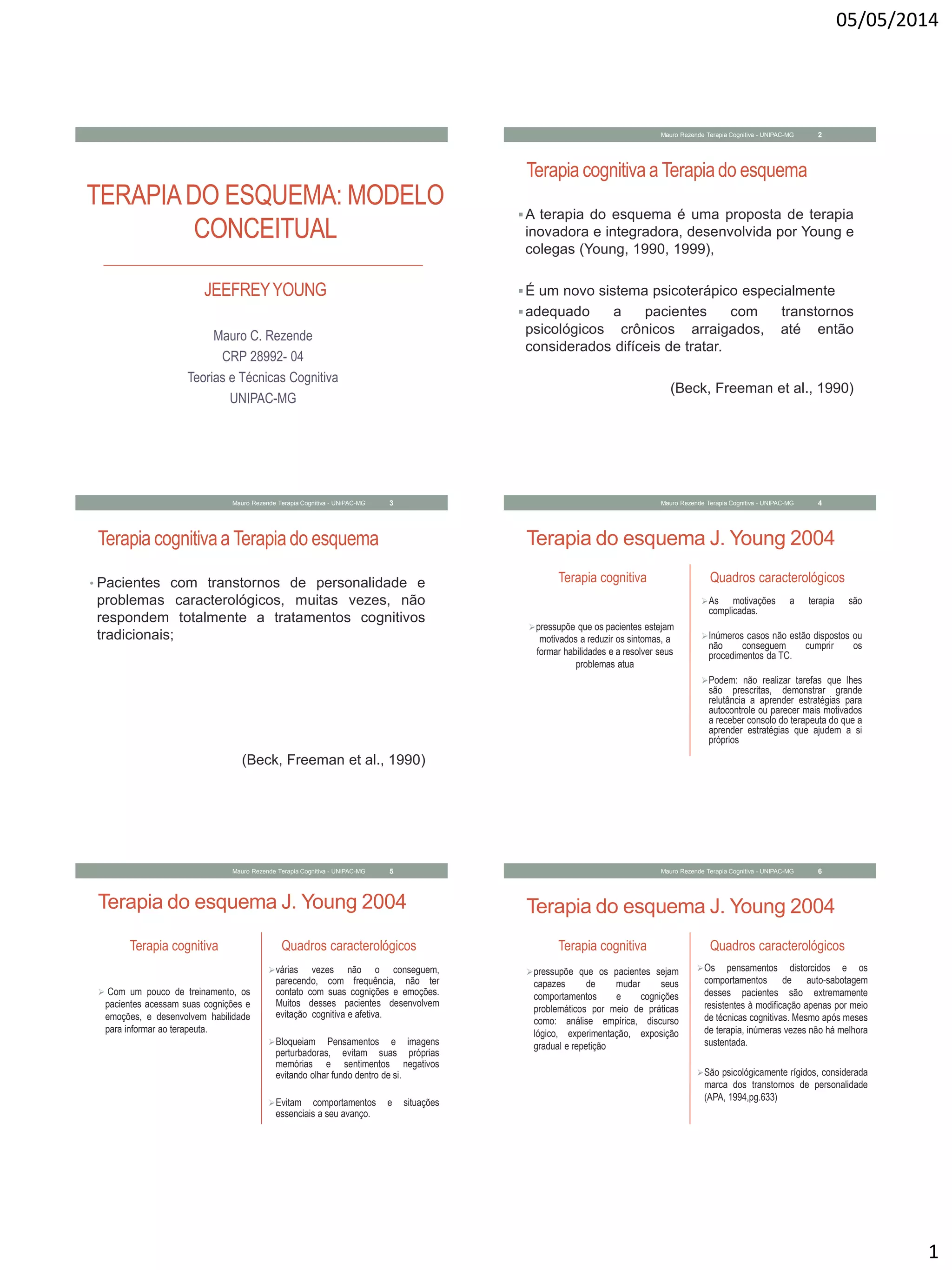 Aula 13 terapia do esquema | PDF