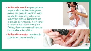 Aula 17 - O RECÉM-NASCIDO NORMAL A TERMO.pdf