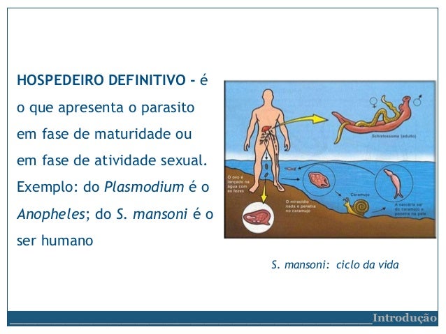 Aula de Parasitologia Básica