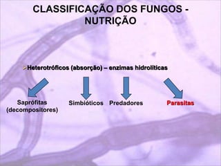 AULA_1___BIOLOGIA_DOS_FUNGOS.ppt